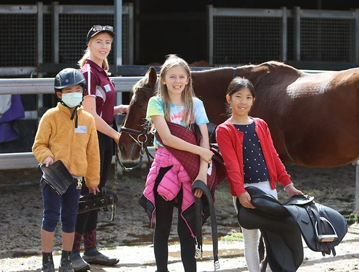 Horse Riding Lessons in Terrey Hills — MC Equestrian Riding School