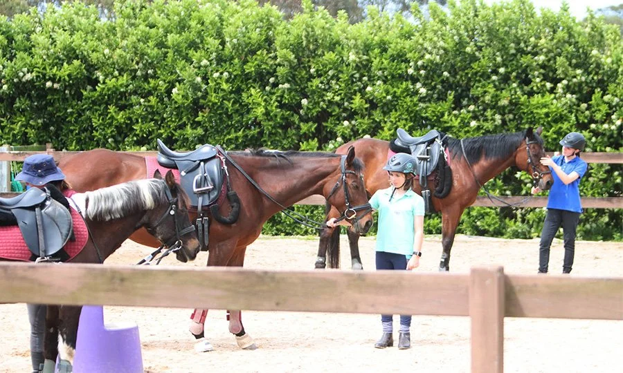 Adult Group Lessons — MC Equestrian Riding School