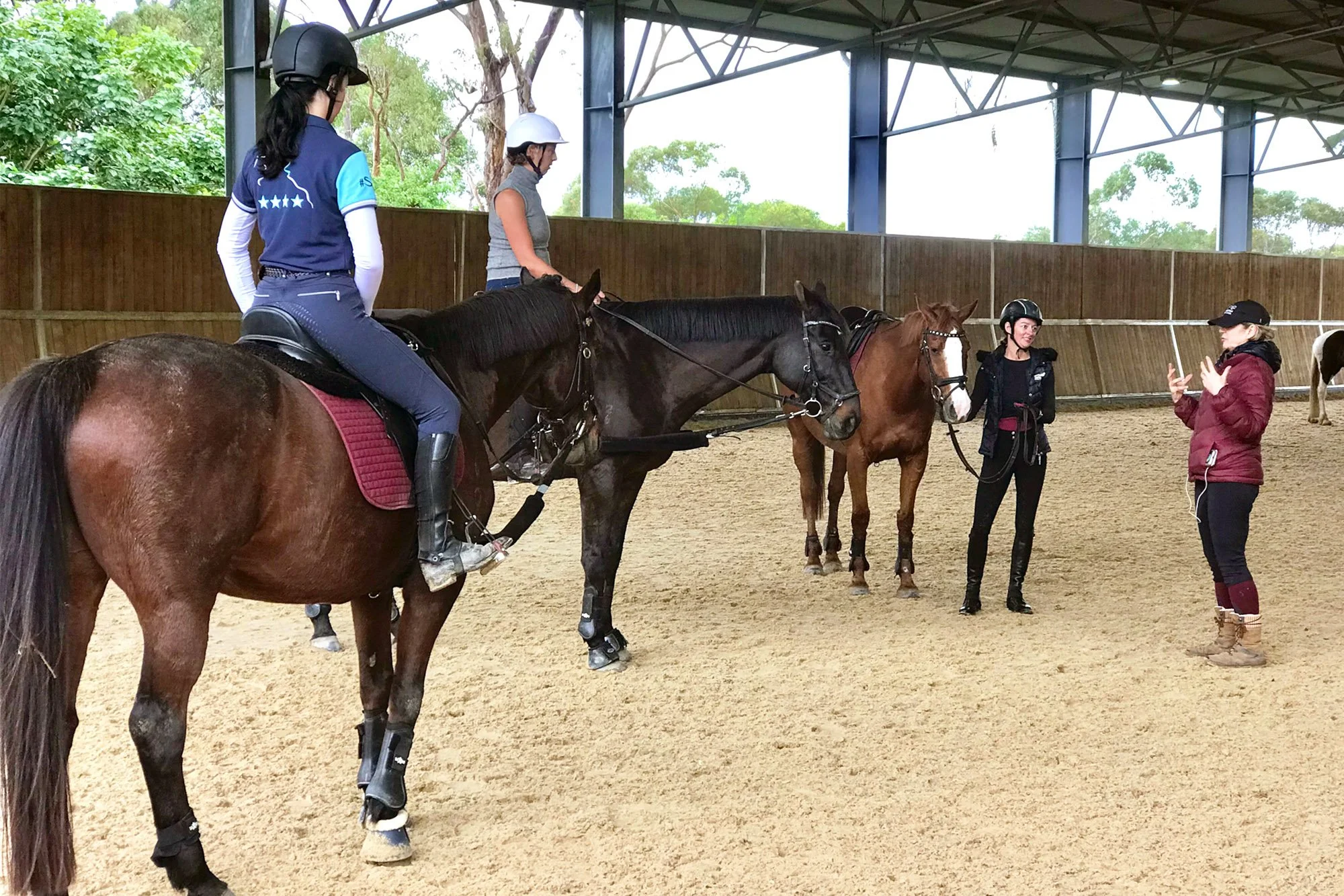 Adult Group Lessons — MC Equestrian Riding School