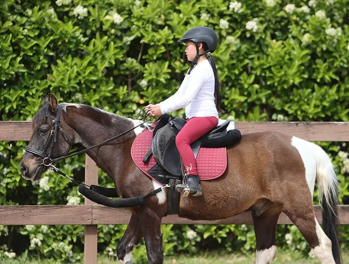 School Horse Riding Programs in Terrey Hills — MC Equestrian Riding School