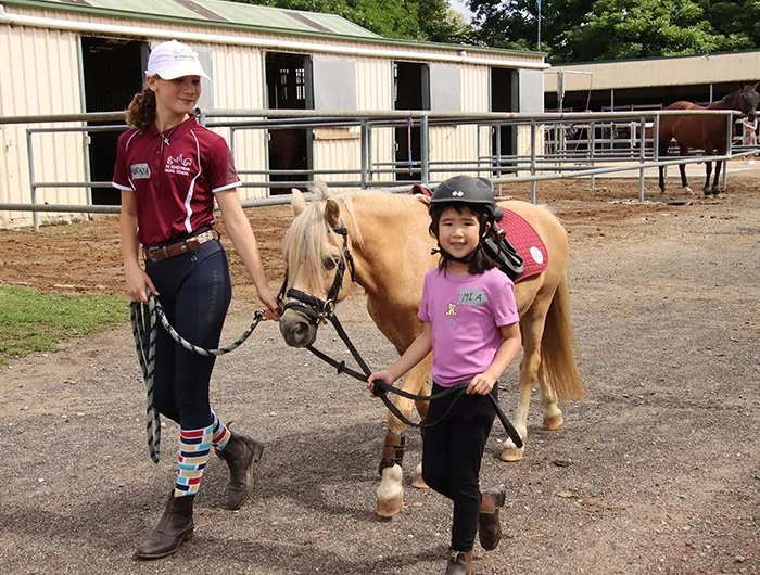 School Horse Riding Programs in Terrey Hills — MC Equestrian Riding School
