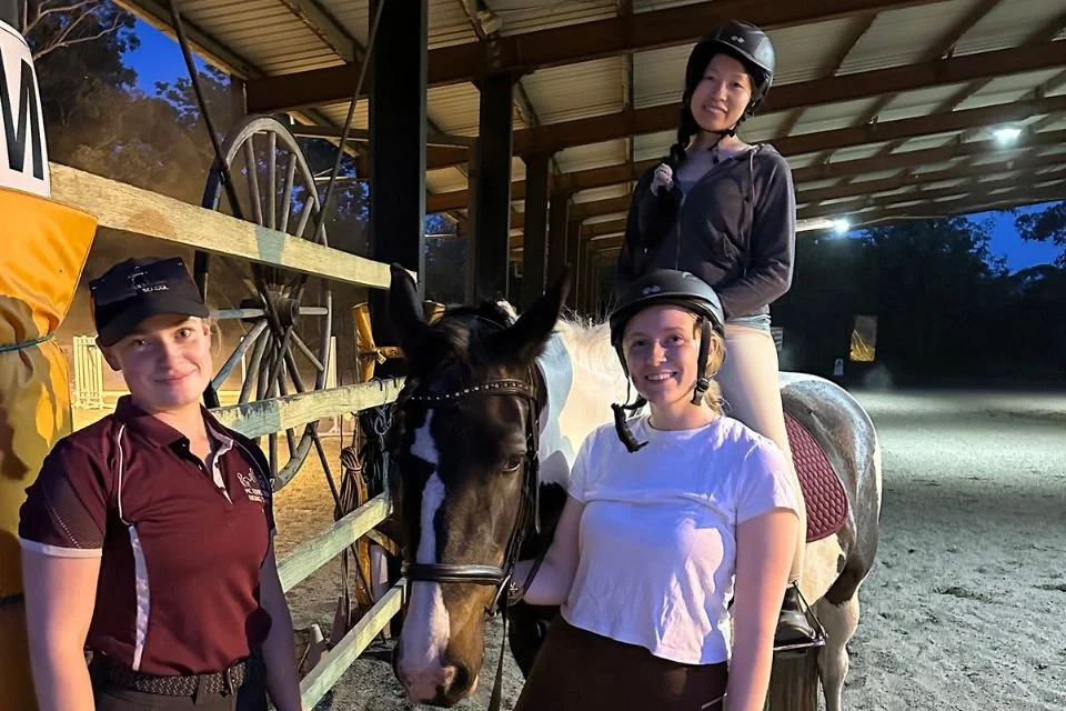 Adult Horse Riding Lessons and Courses — MC Equestrian Riding School