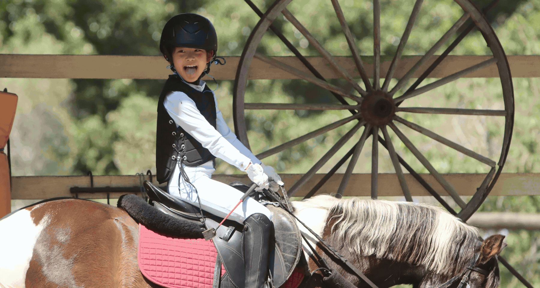 MC Equestrian Riding School