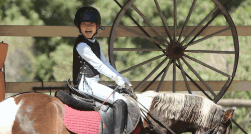 MC Equestrian Riding School