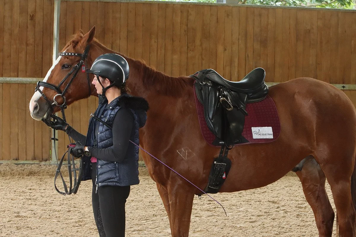Adult Group Lessons — MC Equestrian Riding School