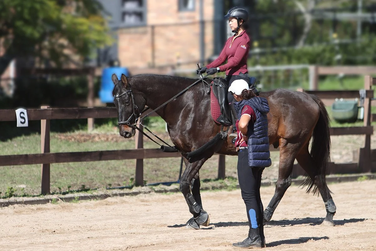 Adult Group Lessons — MC Equestrian Riding School