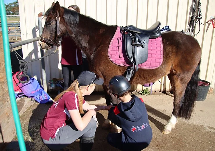 School Holiday Horse Riding Camps — MC Equestrian Riding School