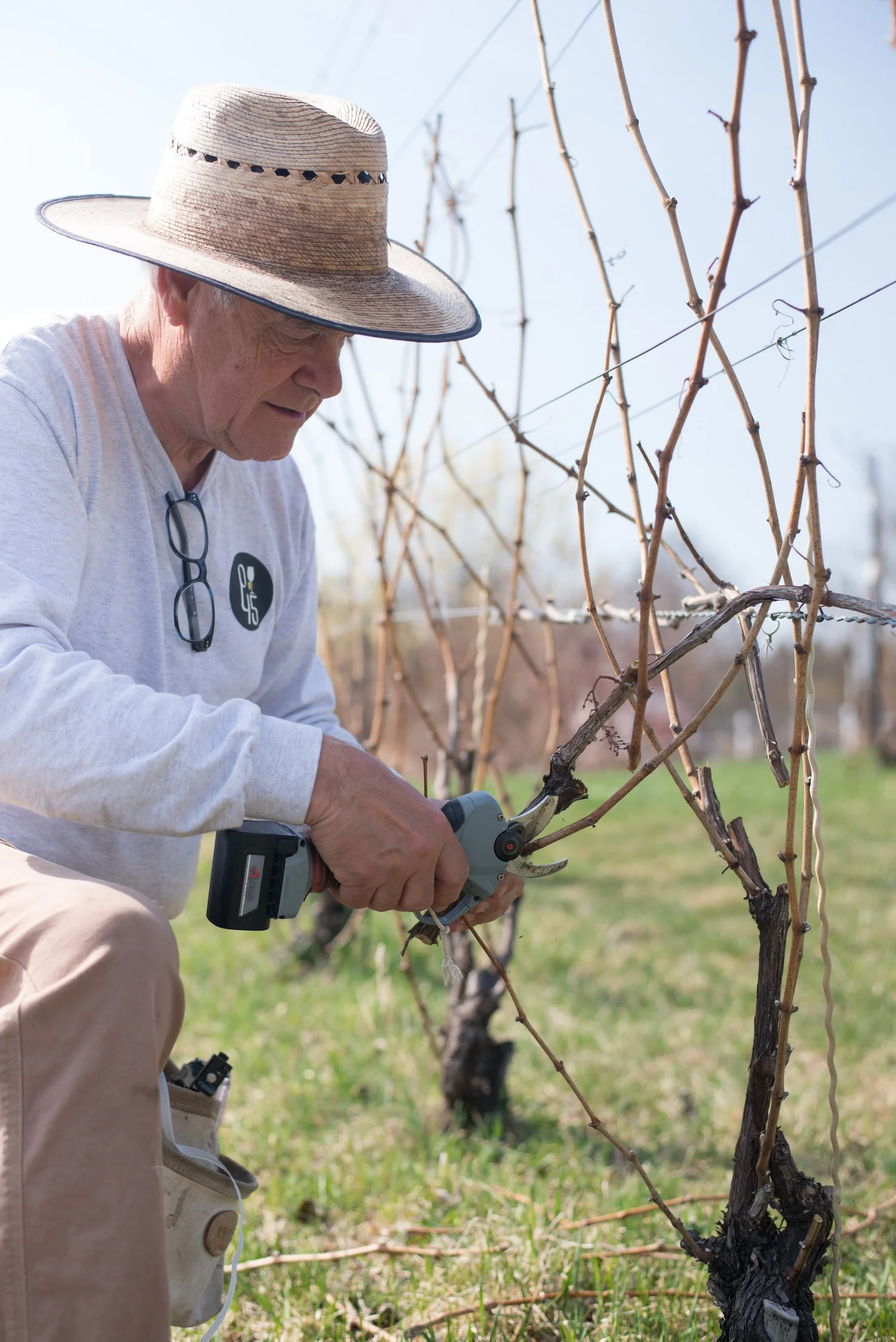 The Vine and Pruning — Bette Lynn Dickinson