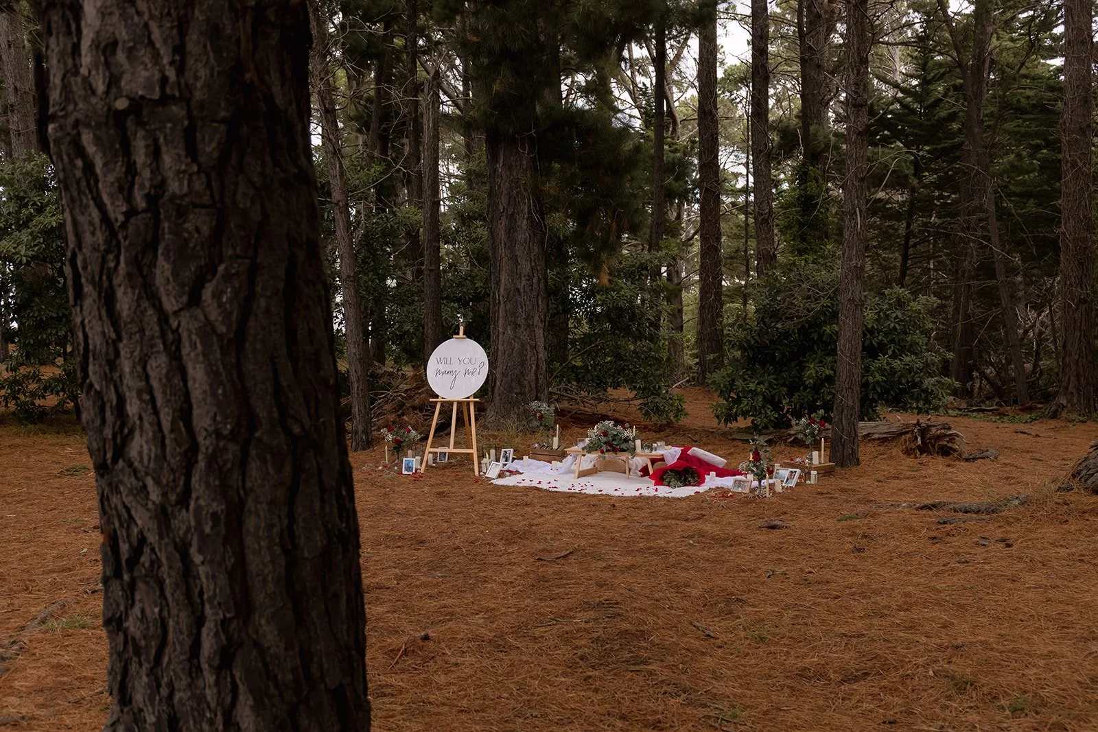 Proposal Packages - All Done For You - Enquire Online Now