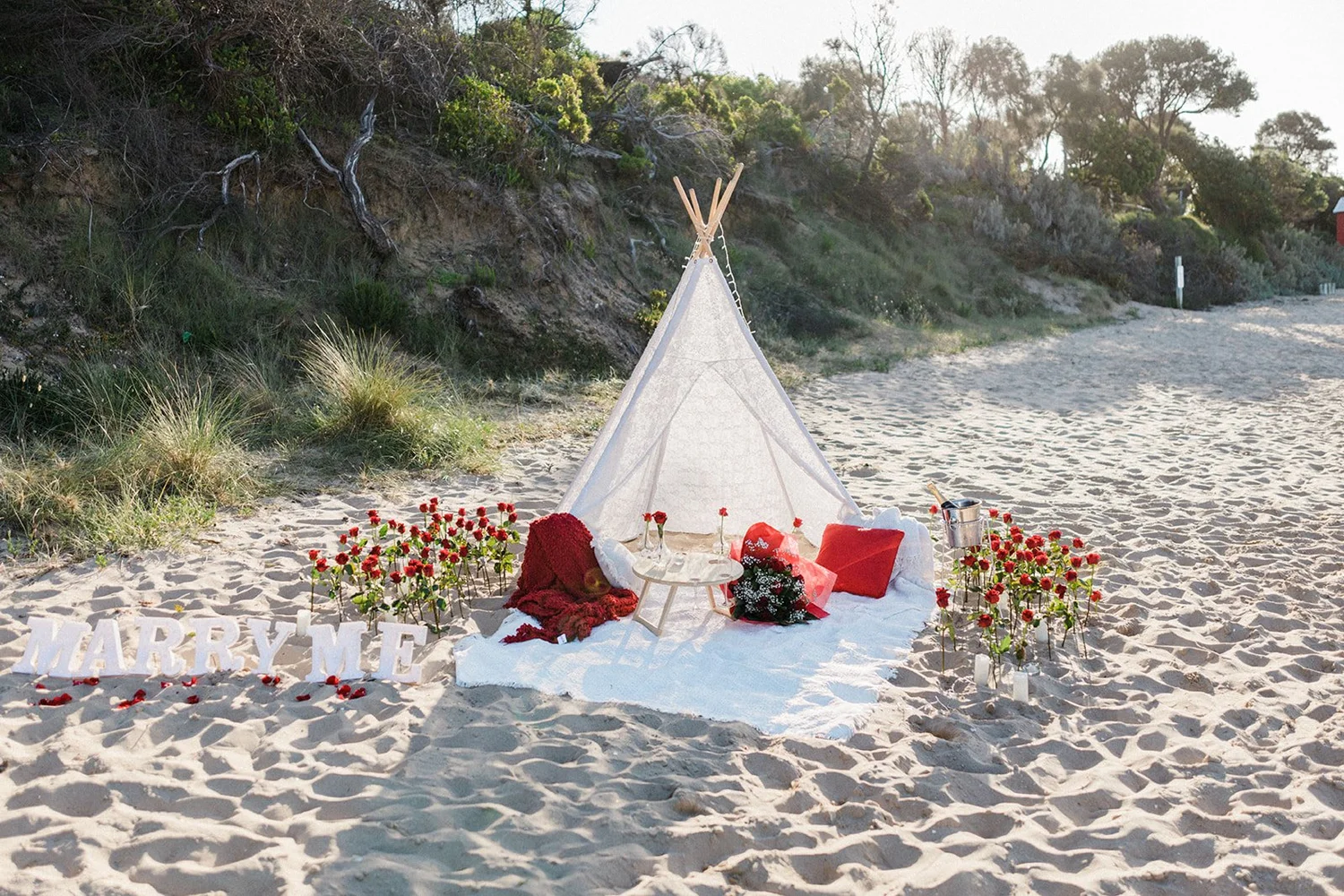 Proposal Packages - Melbourne | Sydney | Cairns