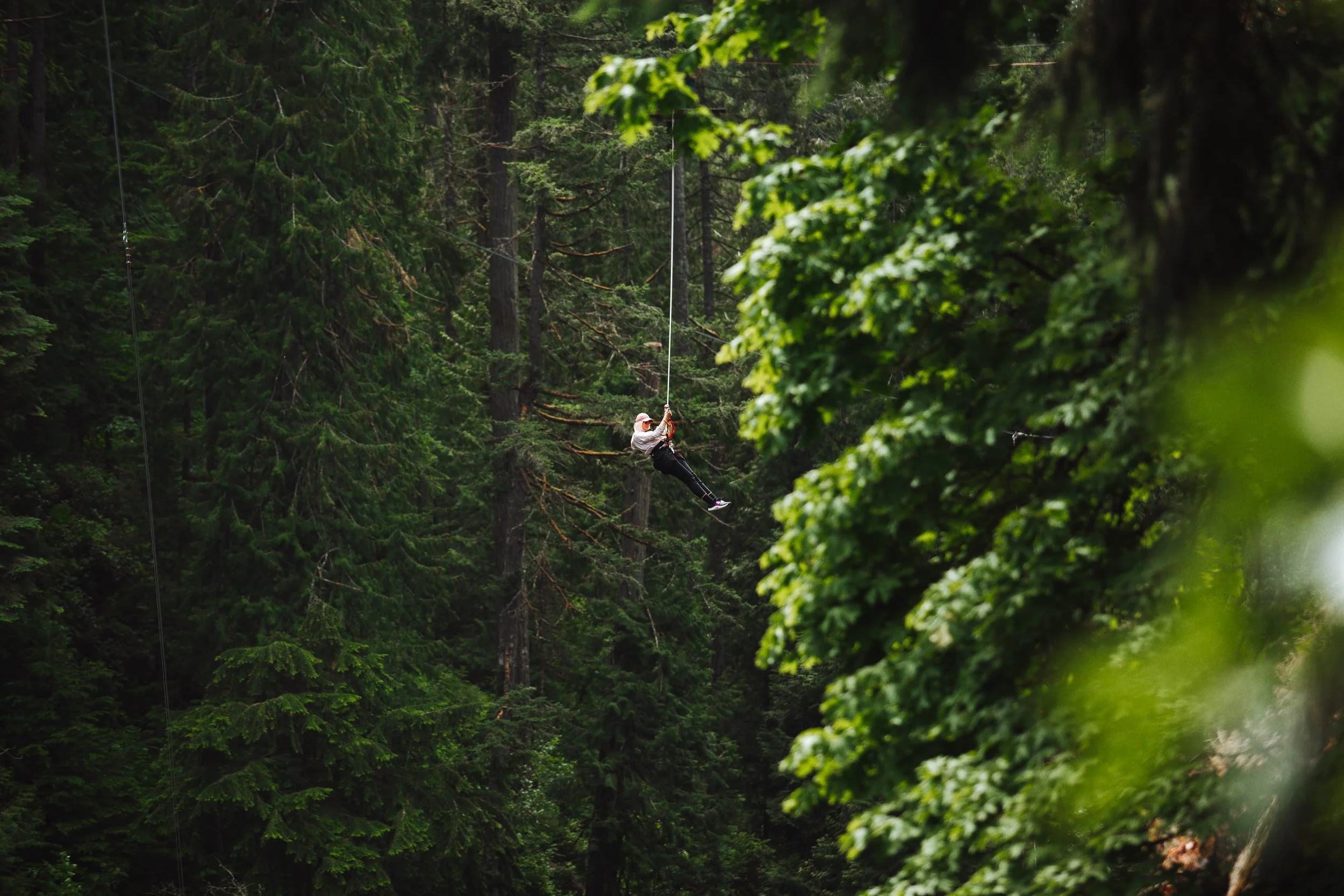 Top Zipline Experiences — Adventure Parks — WildPlay