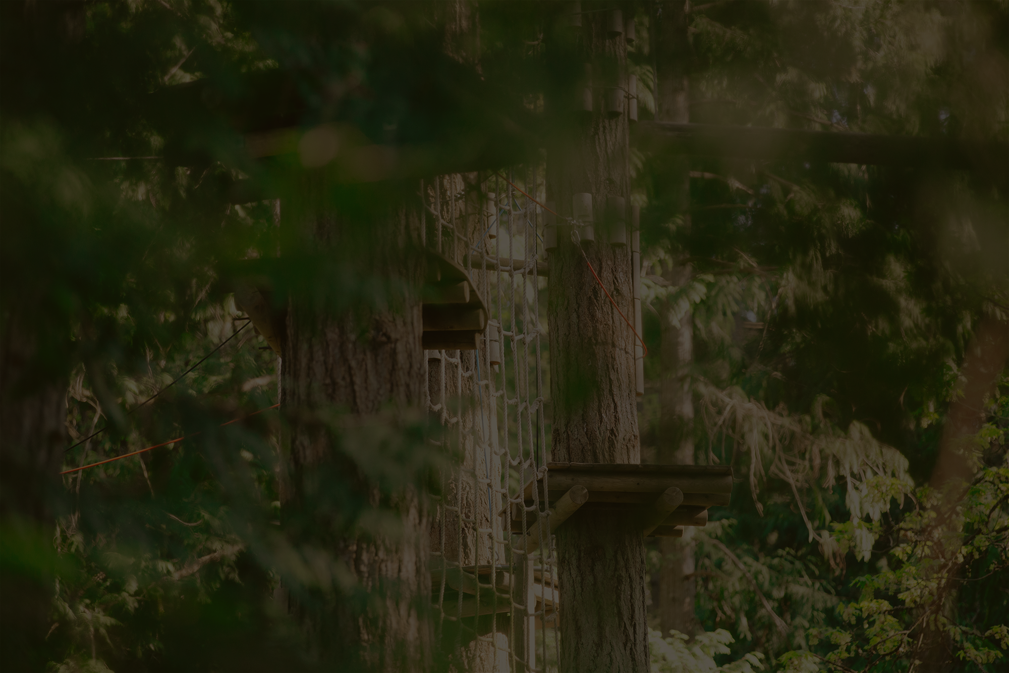 WildPlay