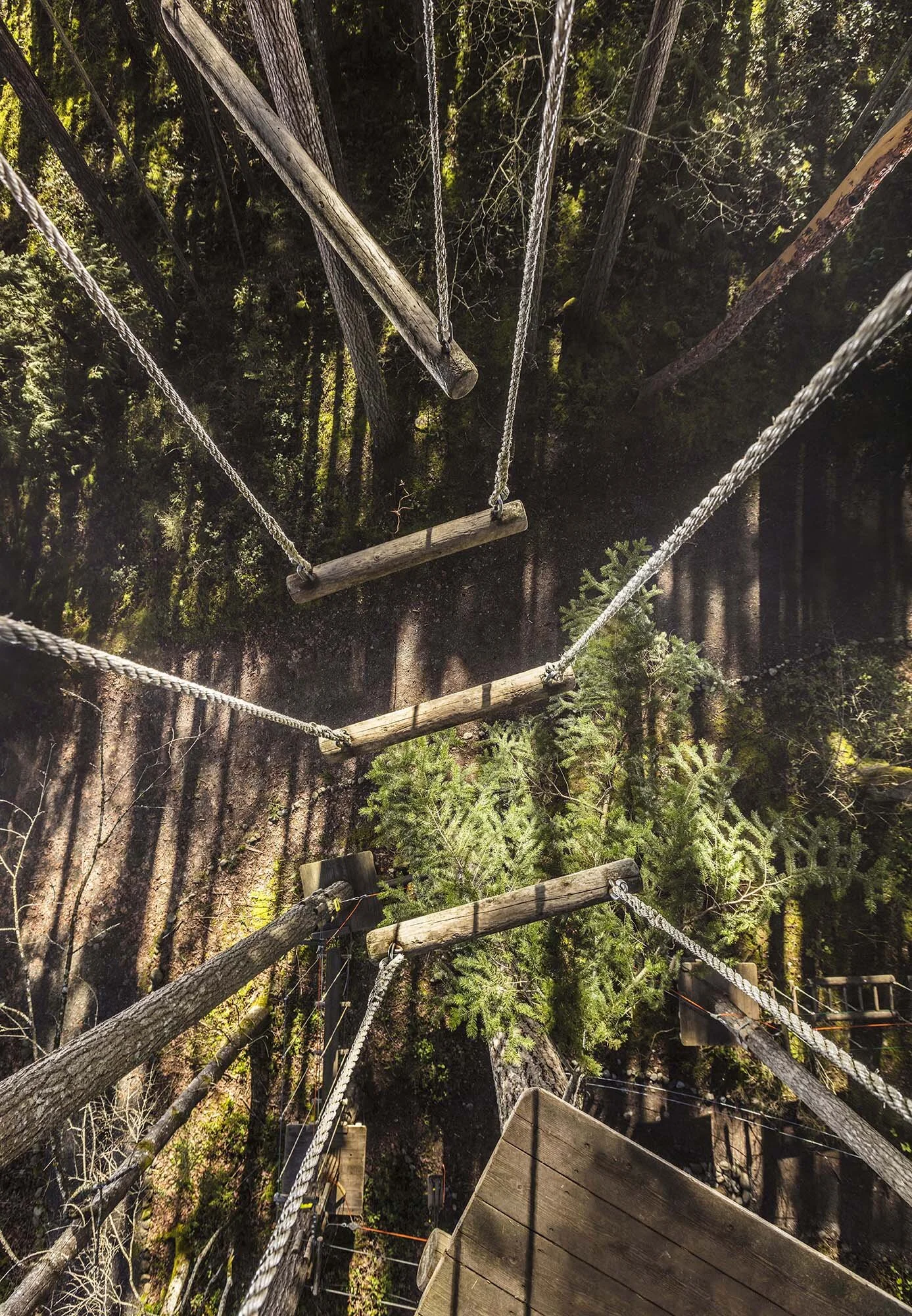 Maple Ridge, BC Canada — Adventure Zipline Course — WildPlay