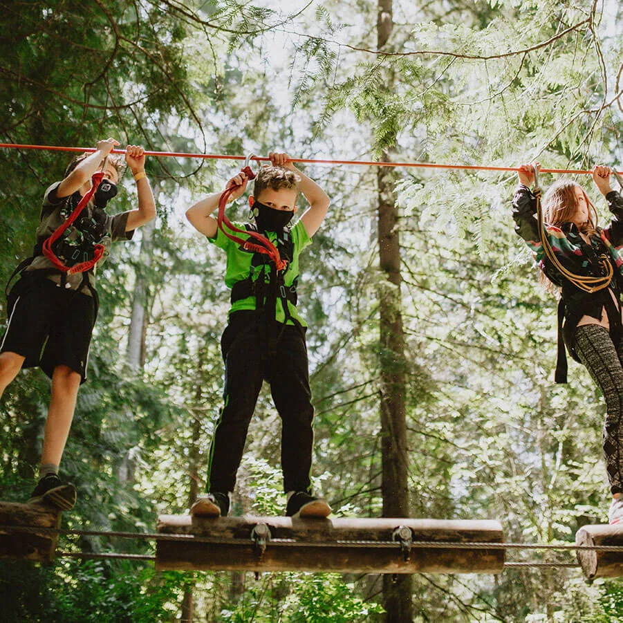 Special Occasions — WildPlay