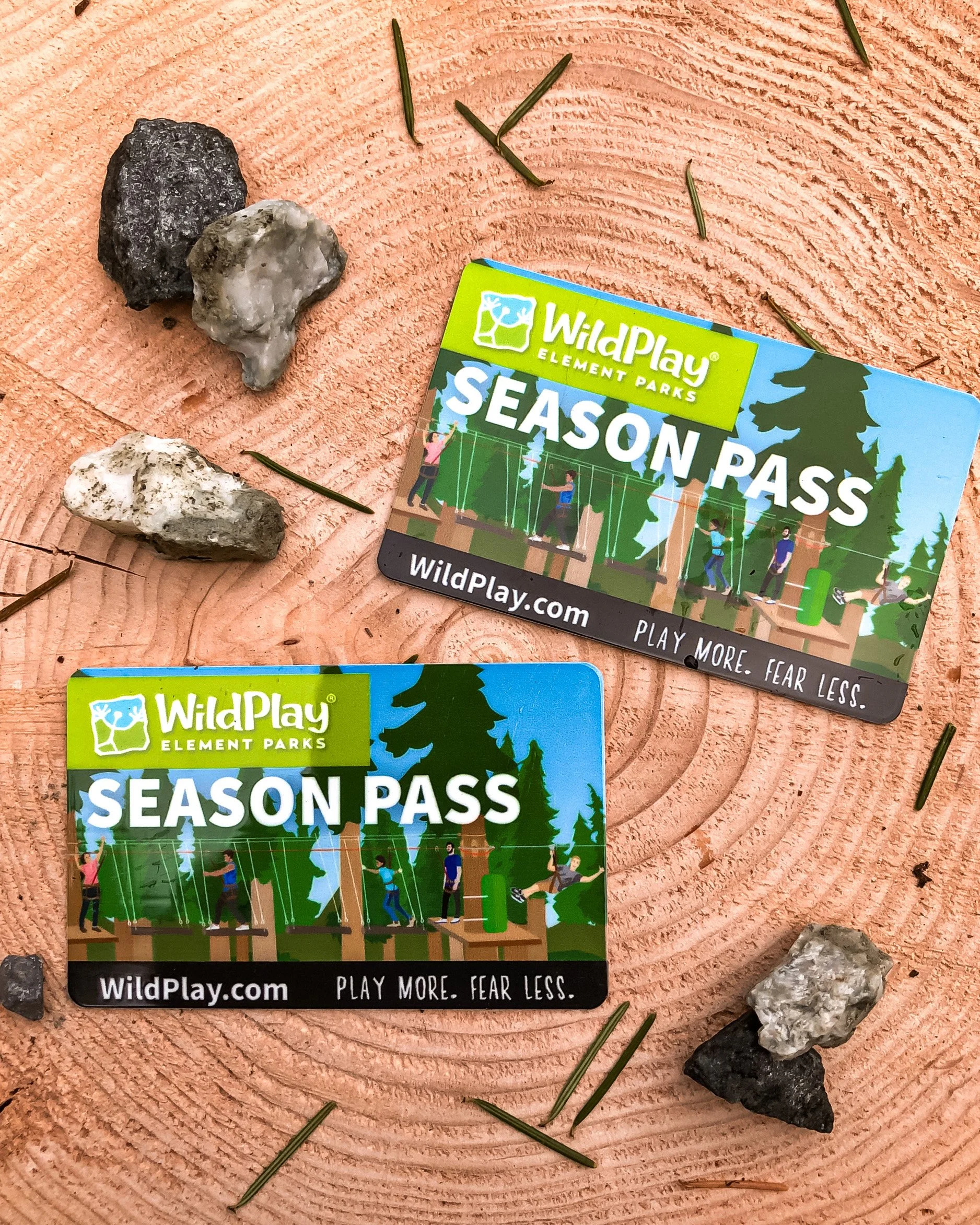 Maple Ridge, BC Canada — Adventure Zipline Course — WildPlay