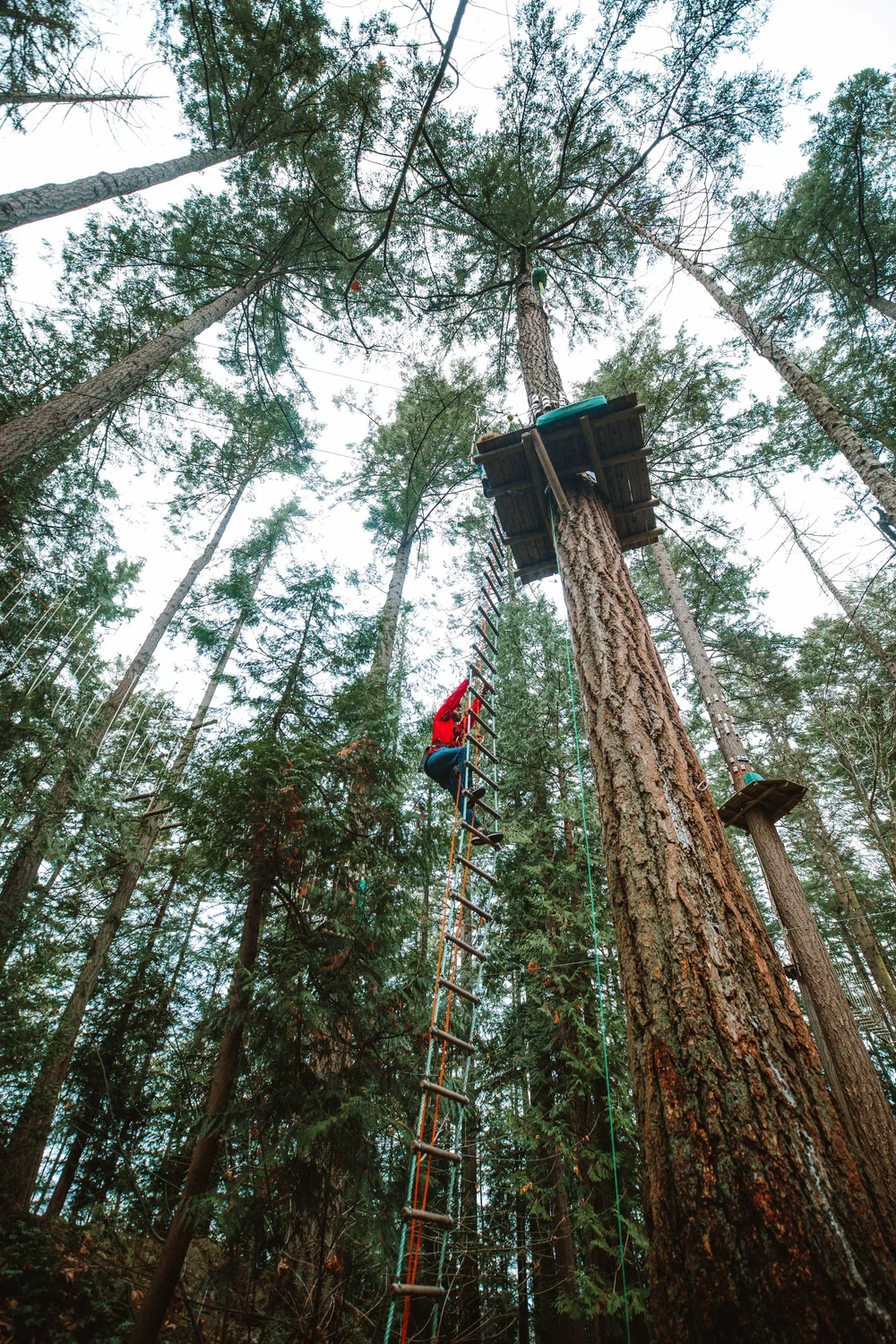 What's To Fear (WTF) Jump — WildPlay