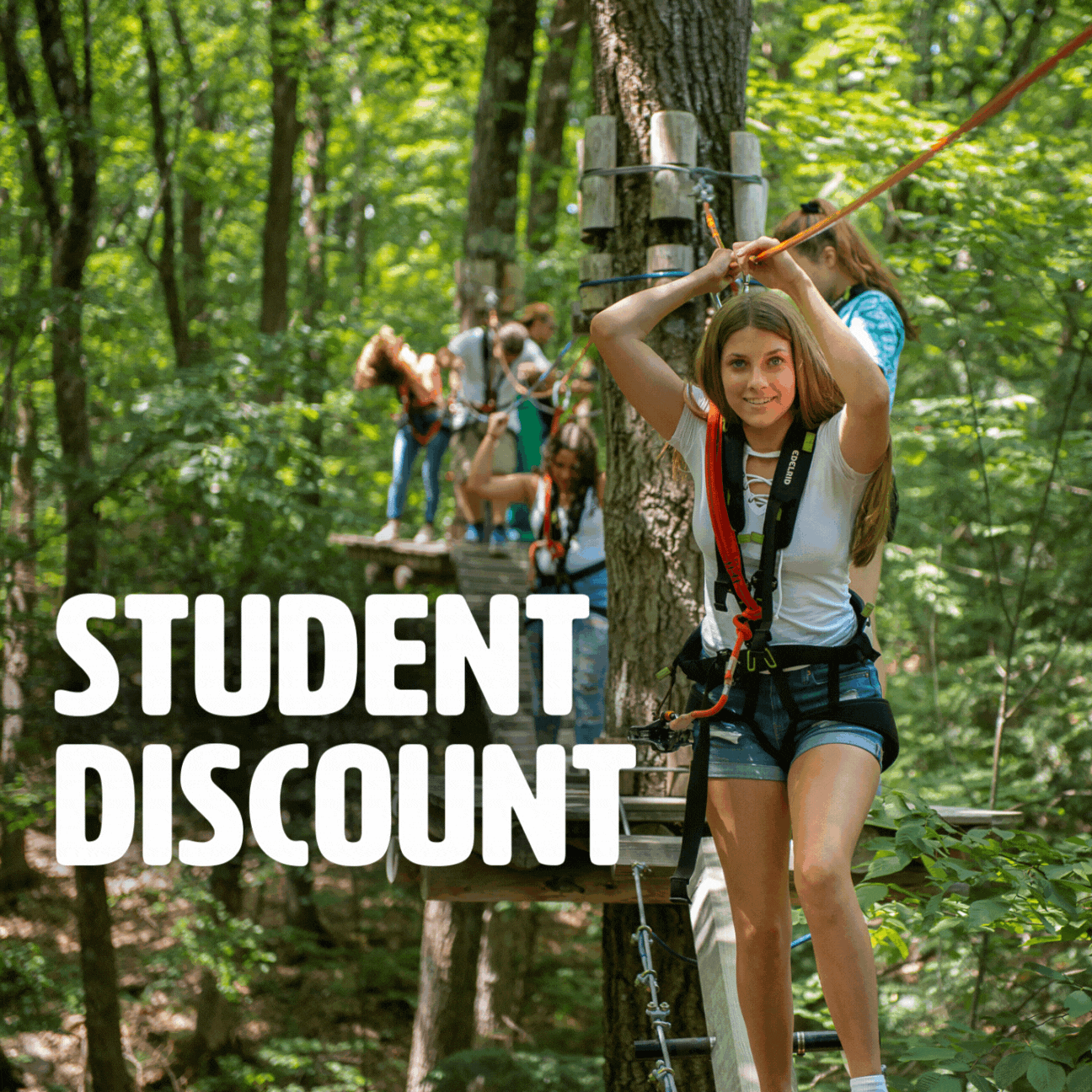 Maple Ridge, BC Canada — Adventure Zipline Course — WildPlay