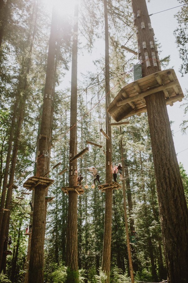 Adventure Courses — WildPlay