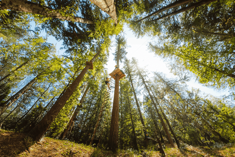 Maple Ridge, BC Canada — Adventure Zipline Course — WildPlay