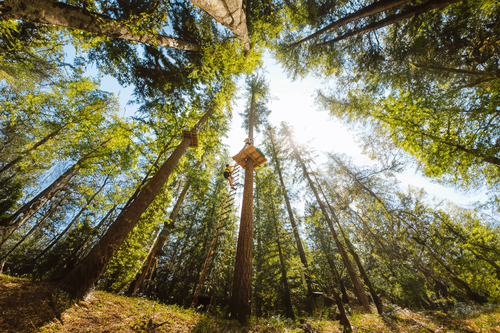 Maple Ridge, BC Canada — Adventure Zipline Course — WildPlay