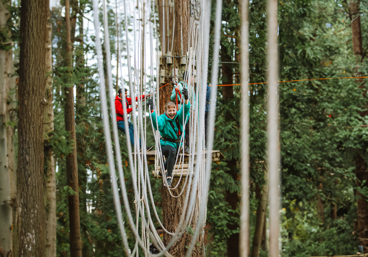 Adventure Courses — WildPlay