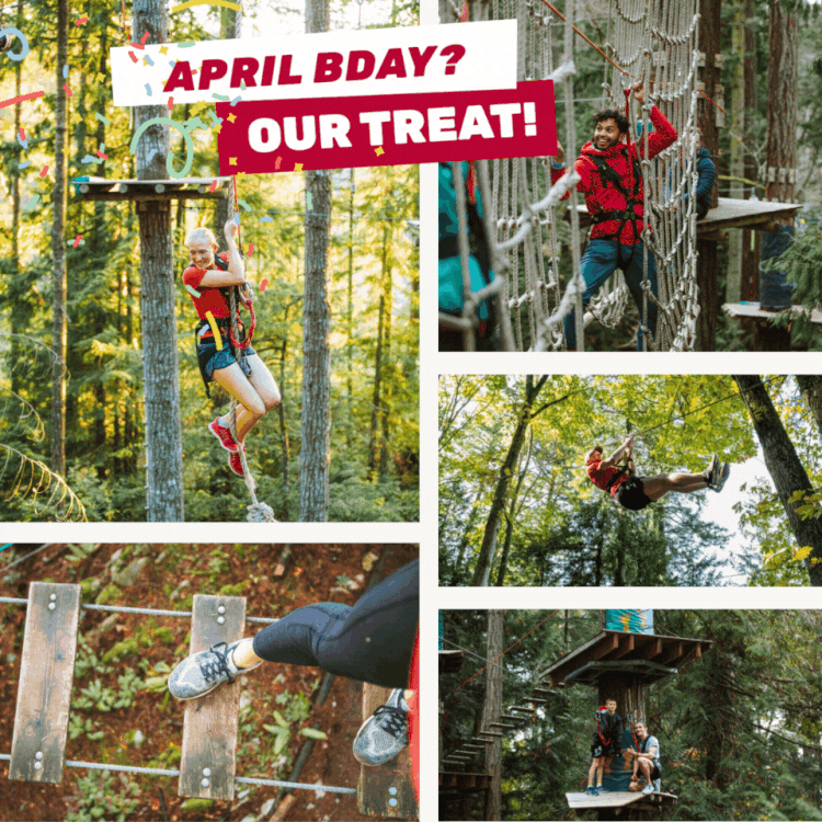 Maple Ridge, BC Canada — Adventure Zipline Course — WildPlay