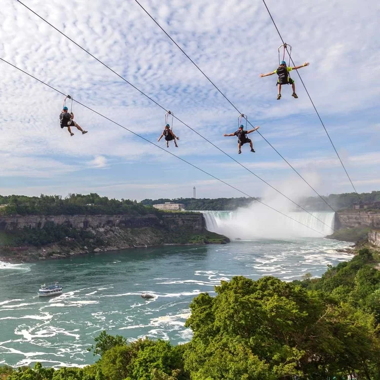 Top Zipline Experiences — Adventure Parks — WildPlay