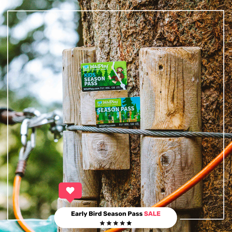 Maple Ridge, BC Canada — Adventure Zipline Course — WildPlay