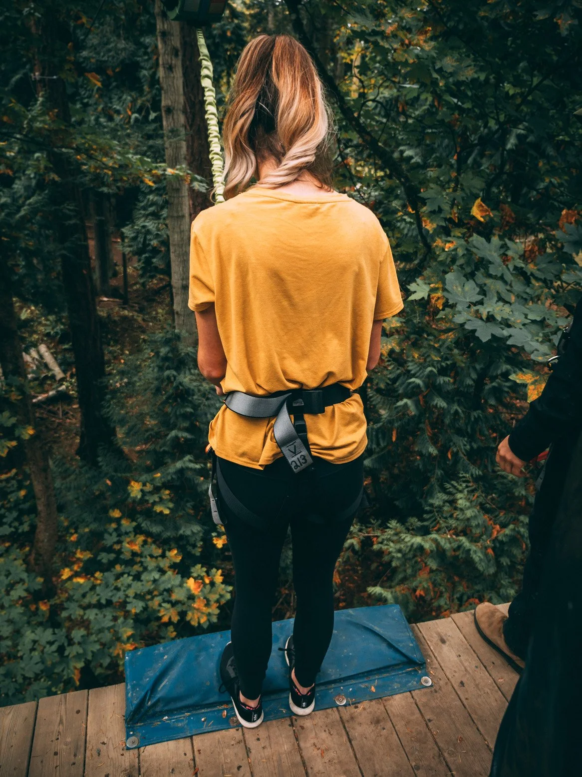 What's To Fear (WTF) Jump — WildPlay