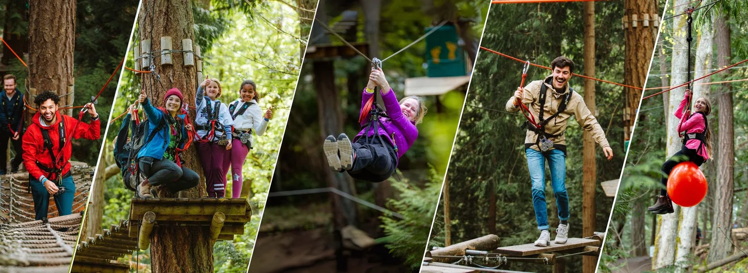 Adventure Courses — WildPlay