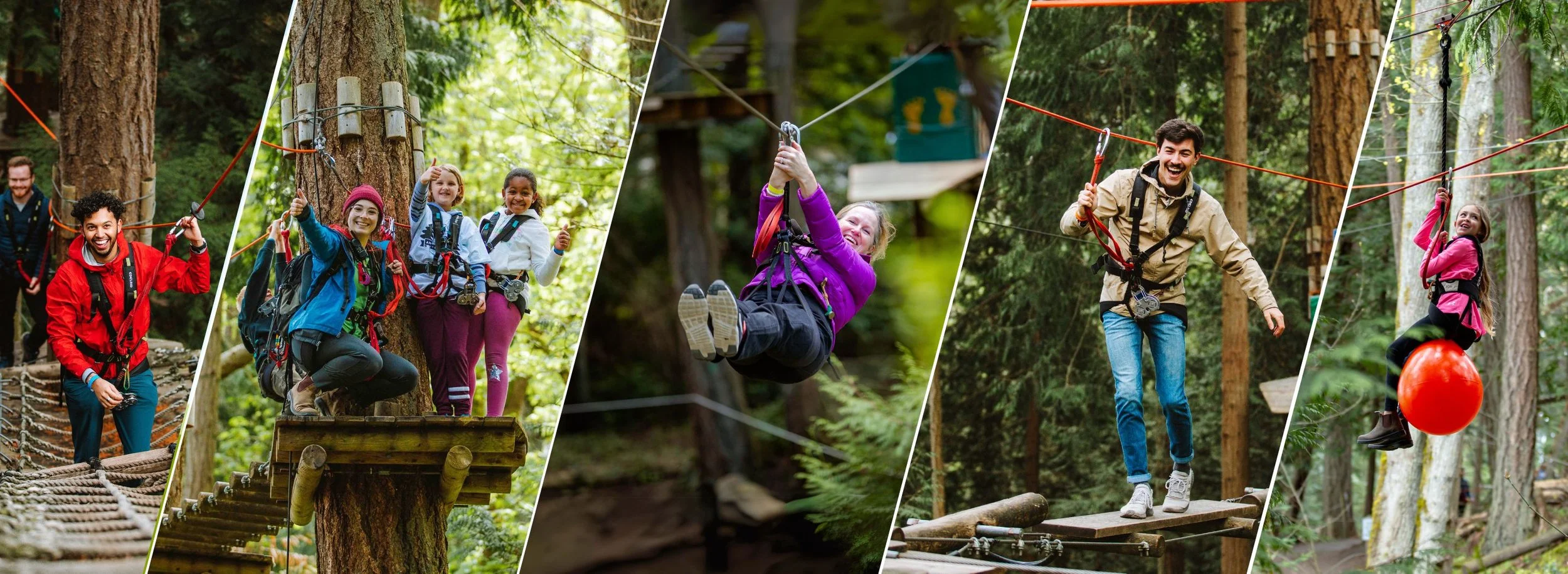 Adventure Courses — WildPlay