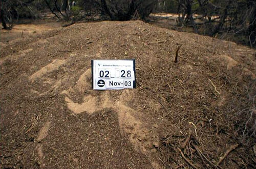 Mounds — Victorian Malleefowl Recovery Group