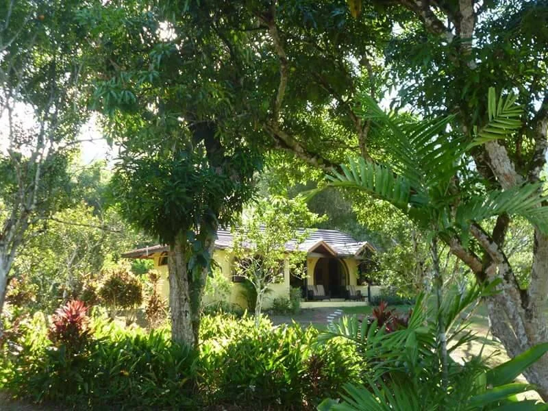 Waterville Estate — Little Bride Book Ltd.