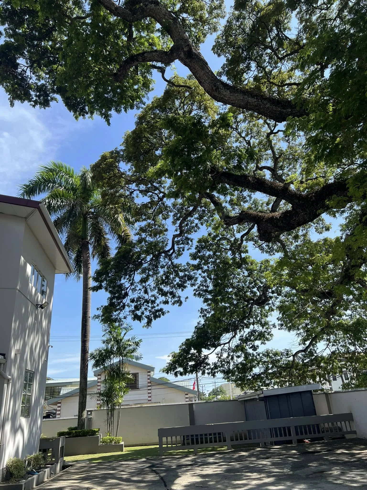 The Samaan Estate — Little Bride Book Ltd.