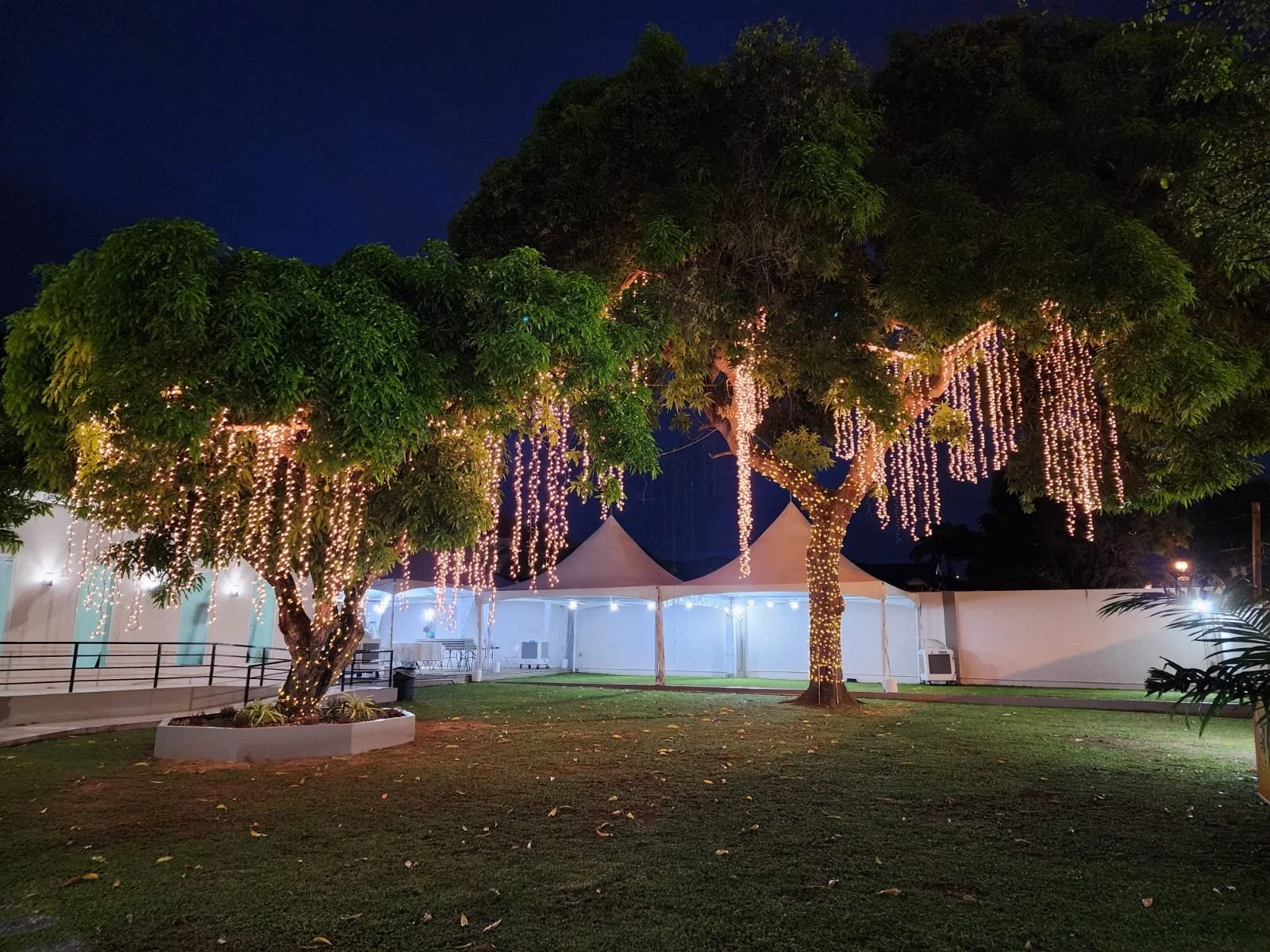 The Samaan Estate — Little Bride Book Ltd.