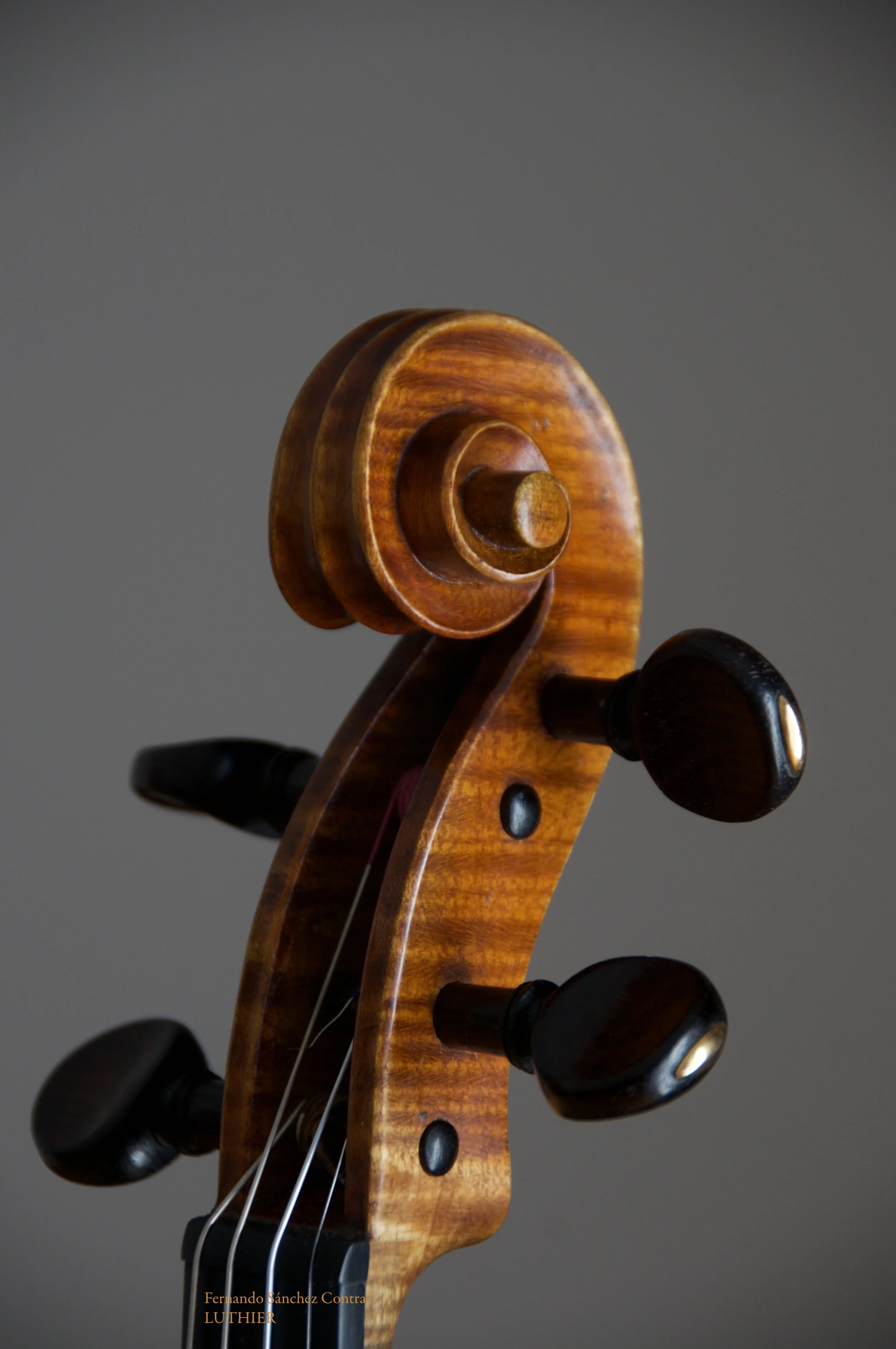 Restauración de la voluta en un violín George Apparut de 1930 ...