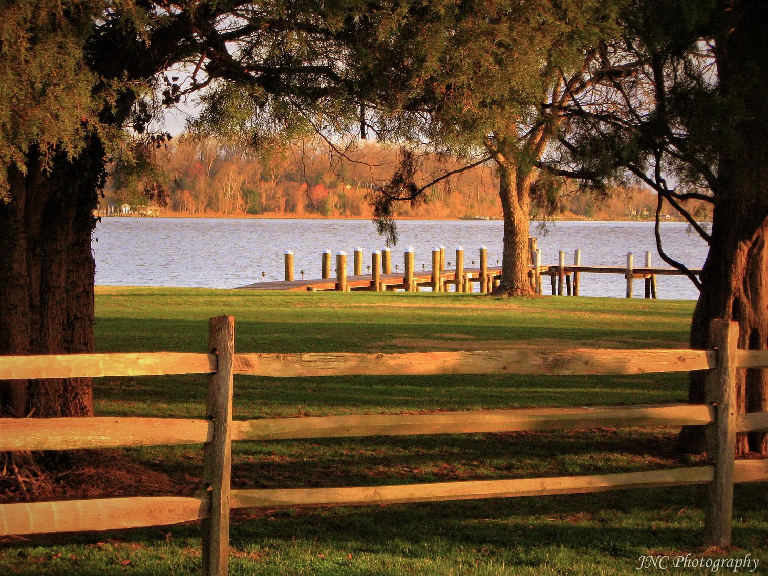 Cecil Tree Service, LLC