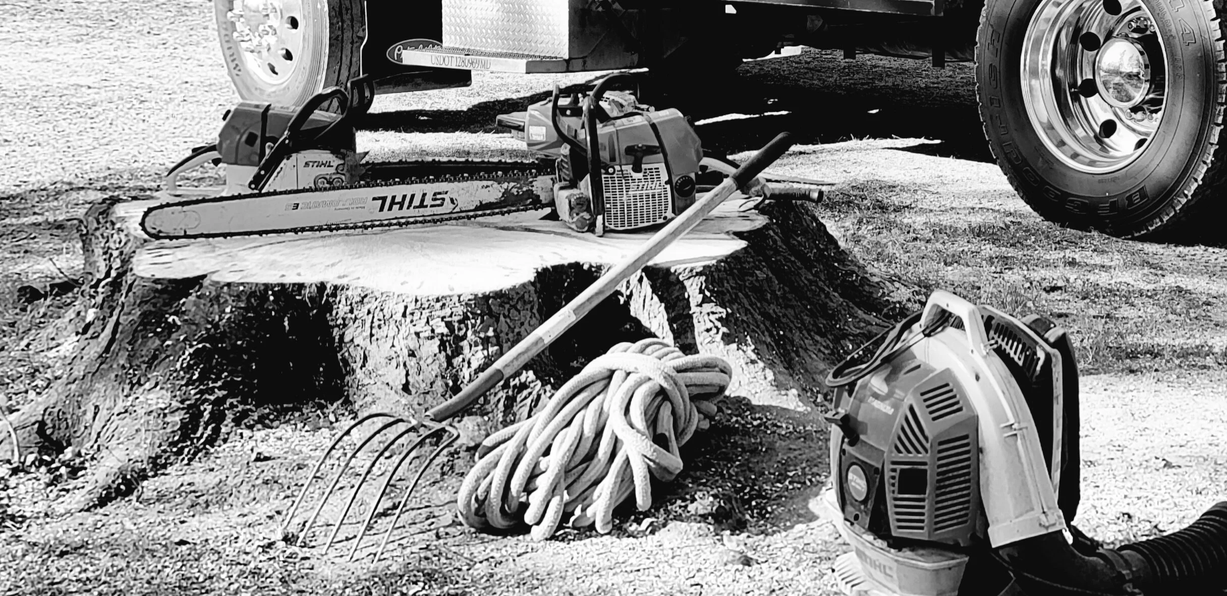 Employment — Cecil Tree Service, LLC