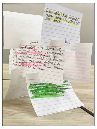 APAFAM Topic 2.19 — Empowering Histories