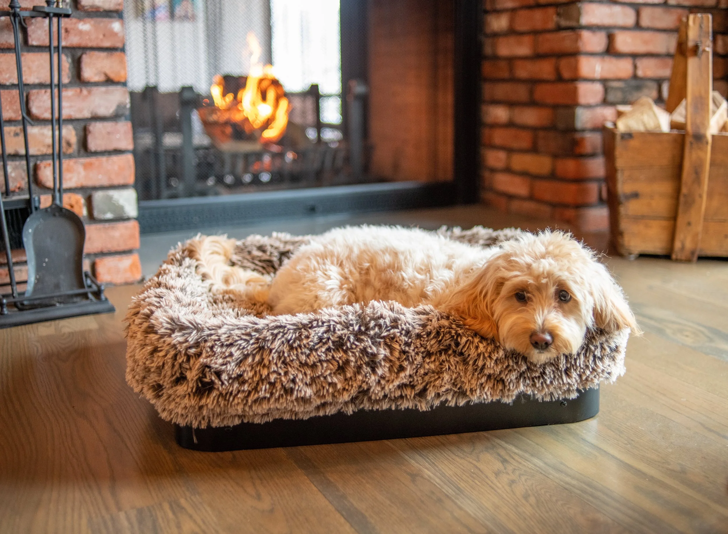 Shop Ultimate Pet Bed Shop Ultimate Pet Bed