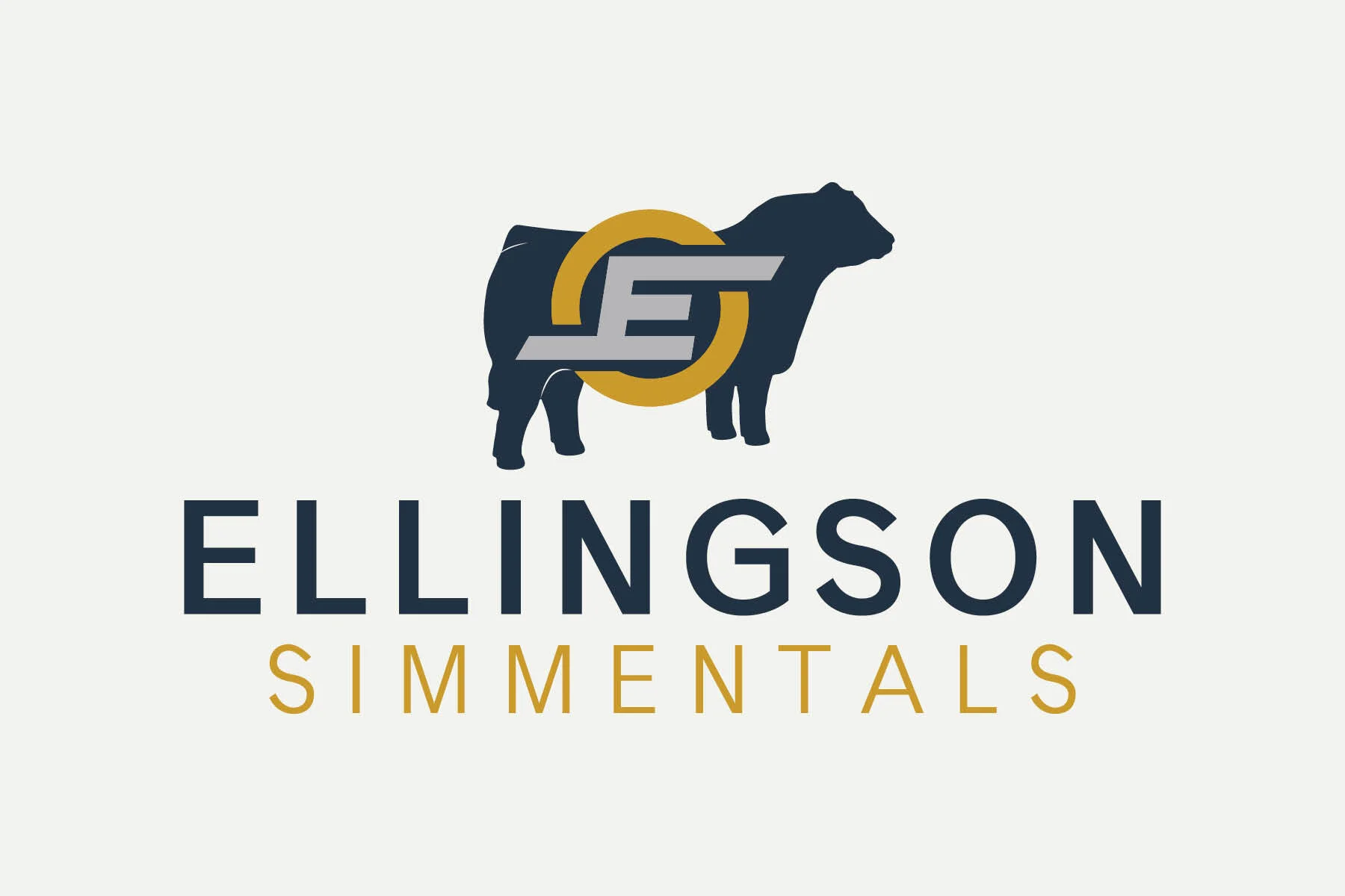 Generation 6 Marketing