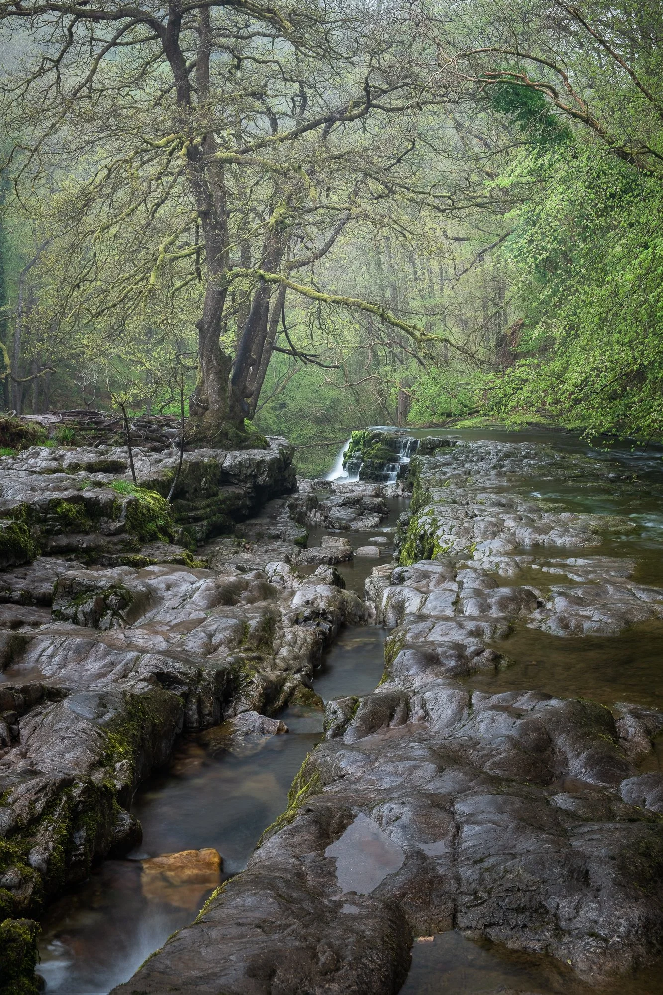 Photographing the waterfalls in the Brecon Beacons | Trevor Sherwin ...