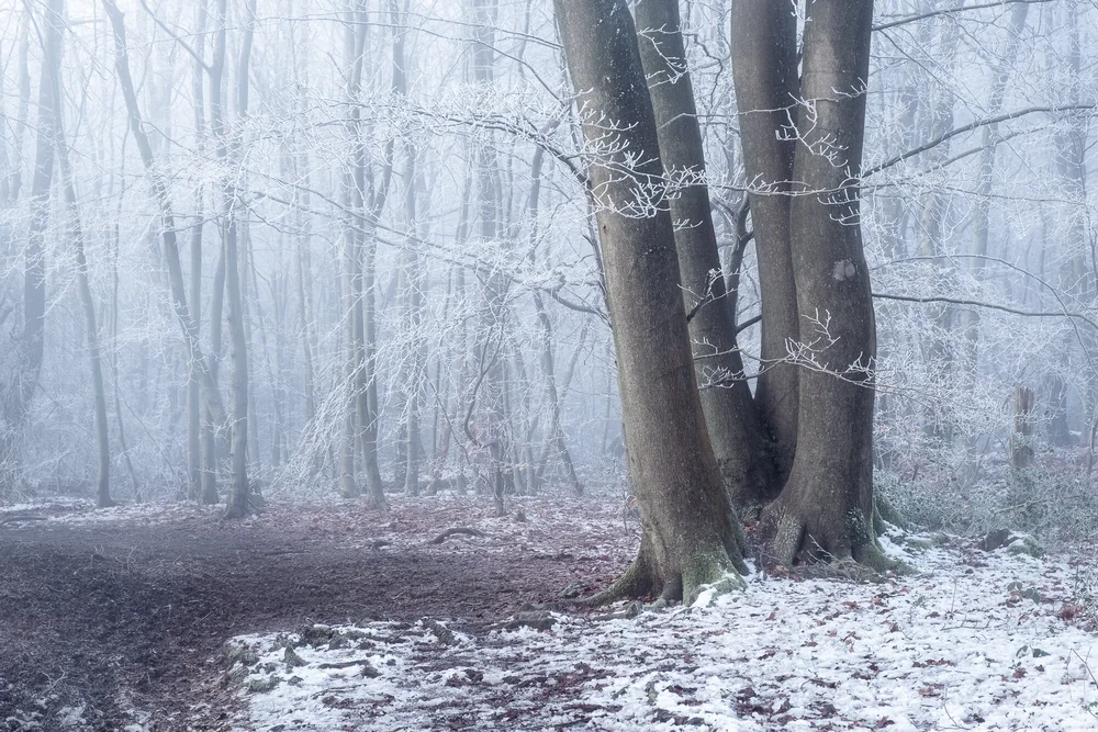 Photographing a Frozen Landscape | Trevor Sherwin Photography