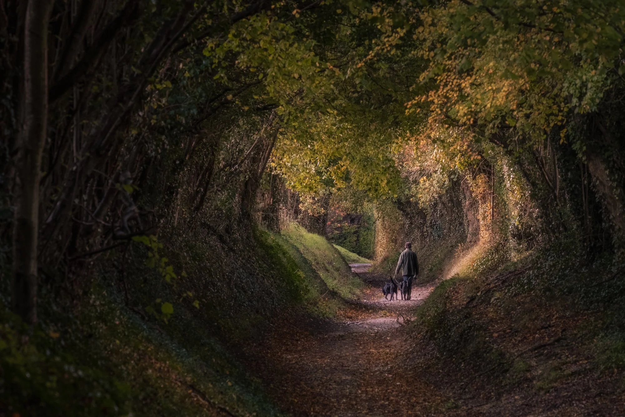 Landscape Photography | Trevor Sherwin Photography