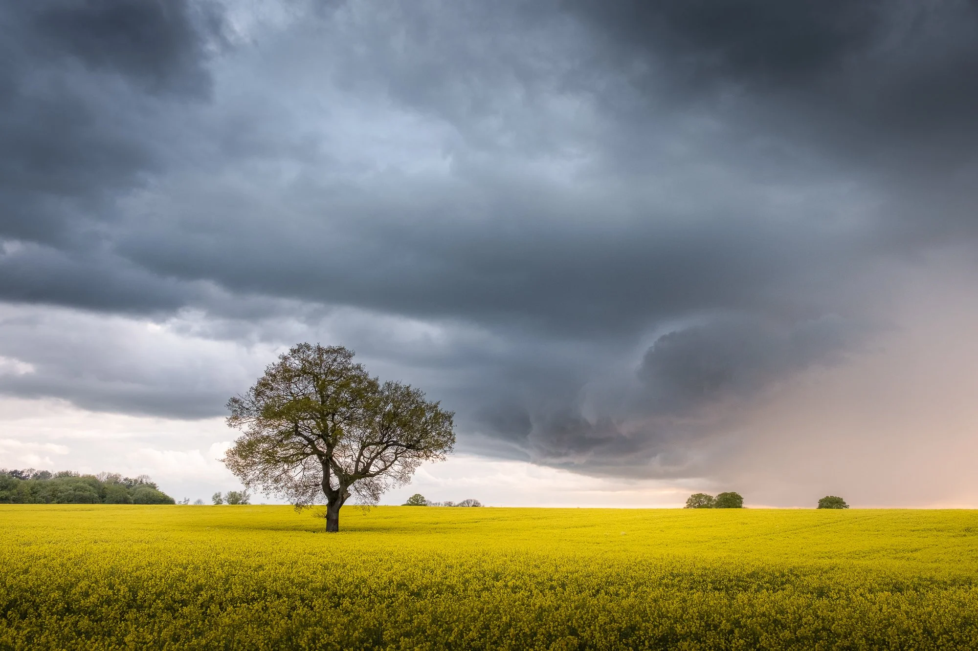 Landscape Photography | Trevor Sherwin Photography