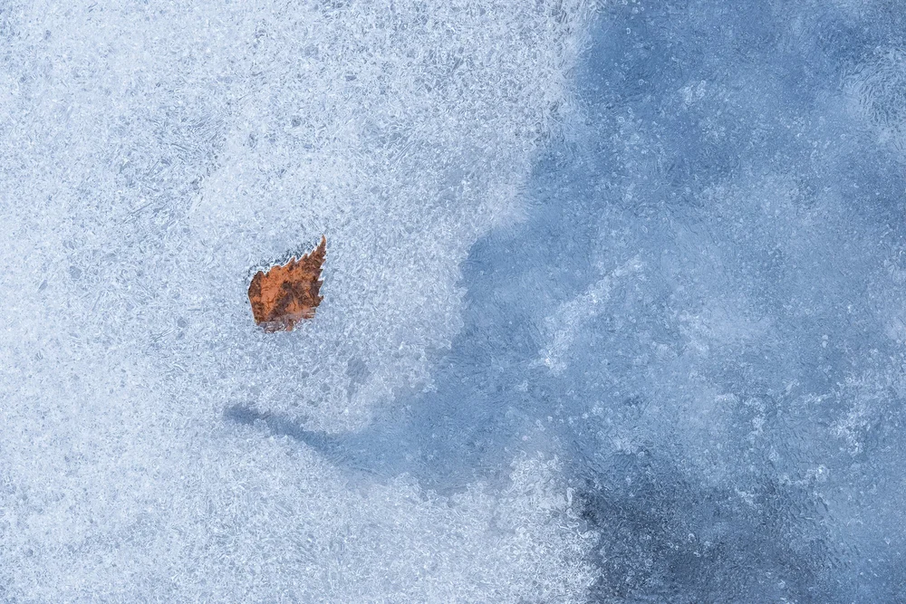 Small Scenes Photo Gallery | Trevor Sherwin Photography