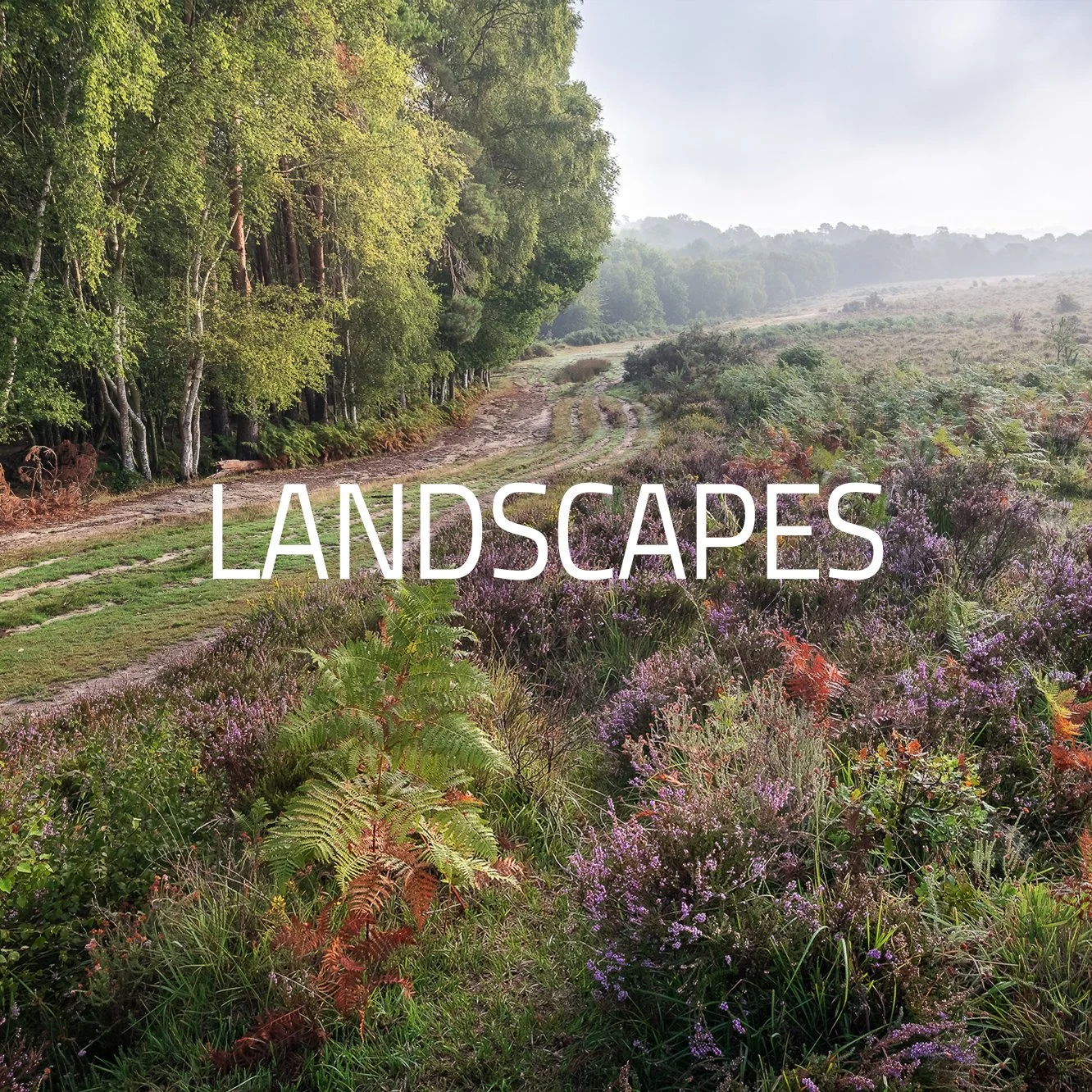 Landscape Photography Galleries | Trevor Sherwin Photography