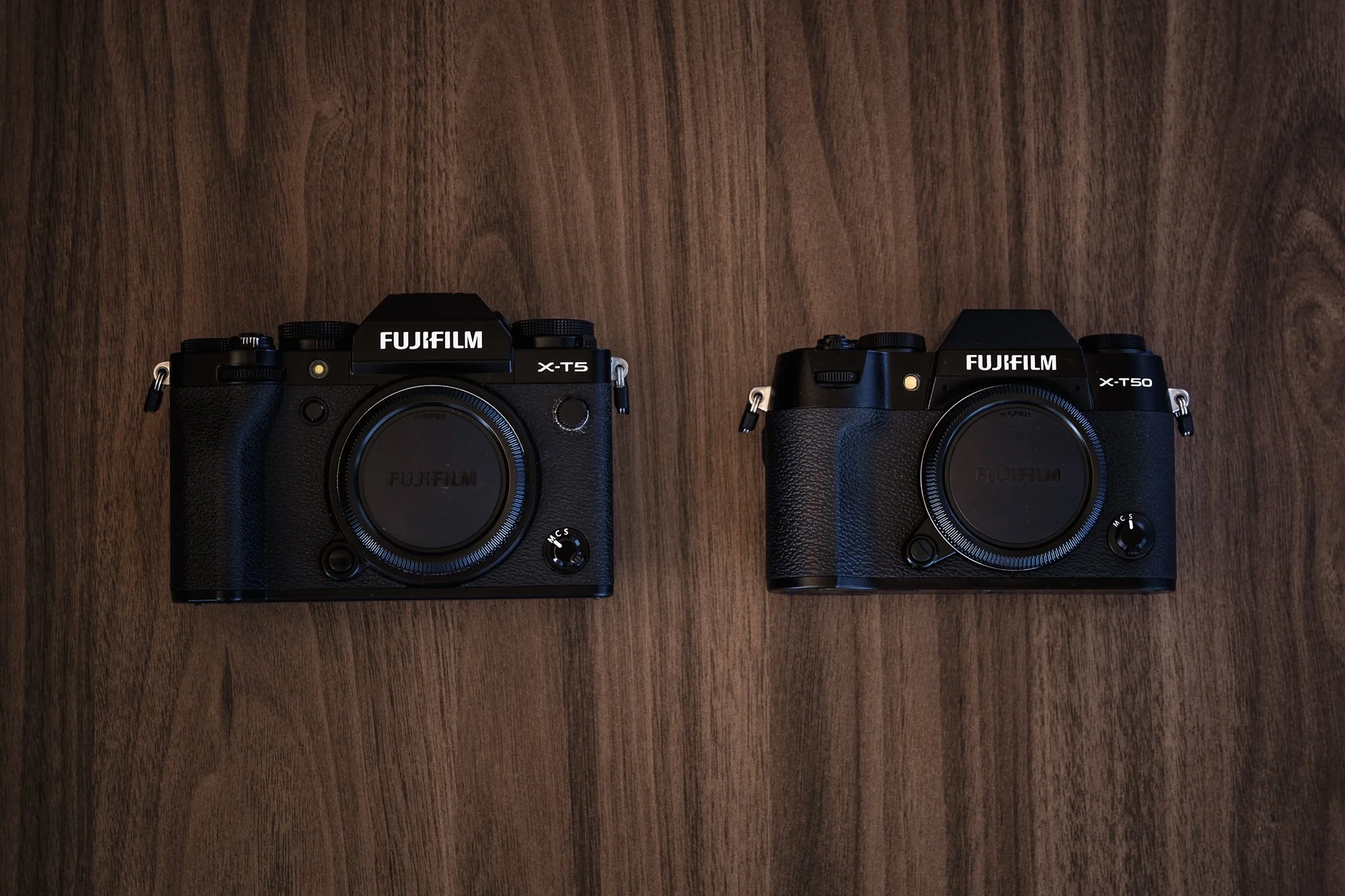 Why I chose the Fujifilm X-T50 as a second camera | Trevor Sherwin Photography