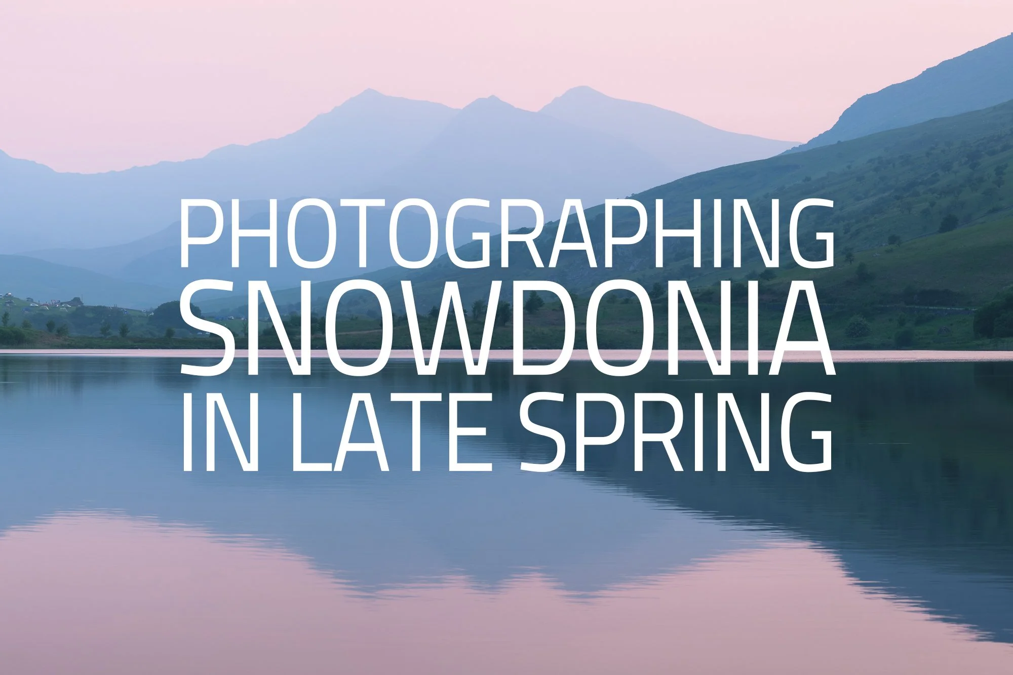 New Photos | Spring 2024 | Trevor Sherwin Photography