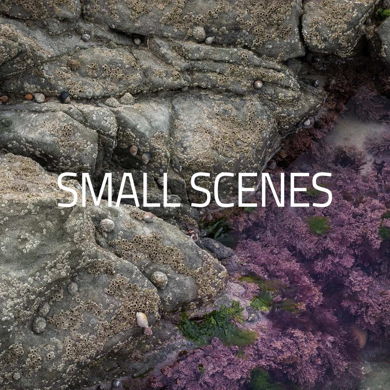 Landscape Photography Galleries | Trevor Sherwin Photography